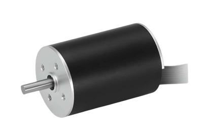 China Coreless 30v 10W Slotless Brushless Motor 22mm 18247rpm Brushless Electric Motor for sale