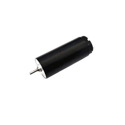 China Customizable Brushed DC Motor With Coreless Winding 13mm 1.32mNm 8400rpm 15V for sale