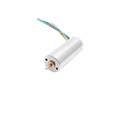 China 12mm Slotless Brushless Motor Sensored Micromotor 6.5W 25310rpm Customizable for Medical Pumps for sale