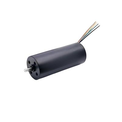 China 16mm DC Brushless Motor Sensored Brushless Motor 24V 10W 20W 18900rpm Customizable for sale