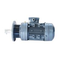 China OEM Horizontal Cycloidal Gear Reducer Electric Motor For Architectural Industry for sale