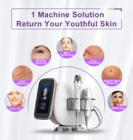 China Portable Radiofrecuencia Fraccionada Face Lift Scarlet Fractional Rf Radio Frequency Microneedling Machine for sale