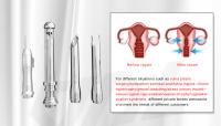 China Portable Radio Frequency Fractional Co2 Laser 360 RF Vaginal Tightening Rejuvenation Device Machine for sale