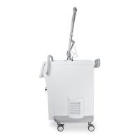 China 10 Inch Big Screen Skin Rejuvenation Stretch Mark Removal Vaginal Tightening Machine Surgical RF Fractional Co2 Laser for sale