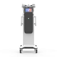 China AS81 Anti Cellulite Rf Vacuum Therapy Machine , 9D 9 In 1 Slimming Machine for sale