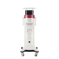 China Multi-Functional Body Shaping RF Fractional Ultrasound Fat Burning Radio Frequency Facial Machine for sale