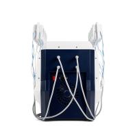 China AS83 EMS Cryolipolysis Slimming Machine 2000w Muscle Stimulator  Weight Loss for sale