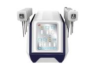 China T Shock Cryolipolysis Slimming Machine  Thermal Multifunction Cryolipolysis Machine for sale