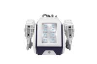 China T Shock Cryolipolysis Slimming Machine  Thermal Multifunction Cryolipolysis Machine for sale