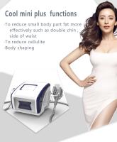 China OEM Portable Cryolipolysis Machine , Cryo Weight Loss Machine 200W for sale