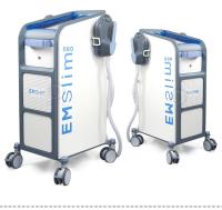 China Fitness Electro EMS Sculpting Machine  Slimming  With 5 Handles for sale