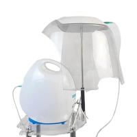 China O2 Derm Oxygen Therapy Facial Machine Led Dome Oxygen Spray Jet Peeling Face Mask With LED for sale