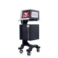China Postpartum Pelvic Floor Muscle Repair Vaginal Ovarian Maintenance Hip Correction Beauty Instrument Machine for sale