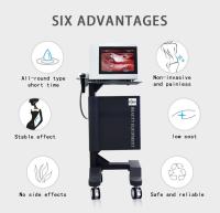 China Postpartum Pelvic Floor Muscle Repair Vaginal Ovarian Maintenance Hip Correction Beauty Instrument Machine for sale