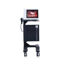 China Postpartum Pelvic Floor Muscle Repair Vaginal Ovarian Maintenance Hip Correction Beauty Instrument Machine for sale