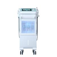 China Customized Vertical 9 In 1 Facial Oxygen Hydro Dermabrasion Machine For Skin Care Deep Cleaning for sale