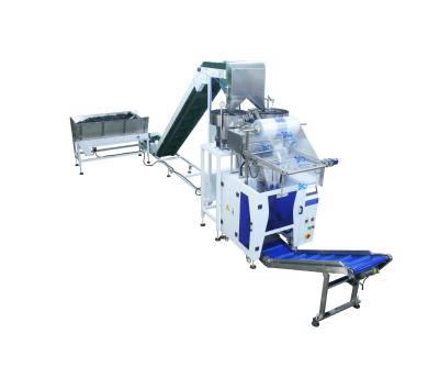 China Manufacturer Direct Sale Automatic Weighing Equipment Numerous Washers Packing Machine for sale
