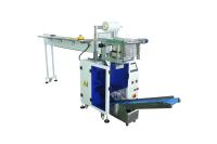 China Direct Sale Packaging Equipment Hardware Nuts Bearing Plastic Bag Pouch Automatic Packing Machine for sale