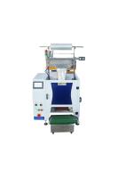 China Semi-automatic Bulk Products Filling Sealing Wrapping Machine With Check Weighing Packing Machine for sale
