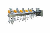 China Manufacturer Price Automatic Paging Equipment Card Manual Specification Packing Machine for sale