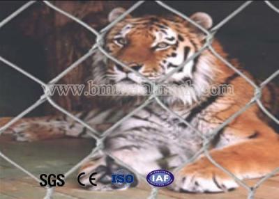 China Durable Stainless Steel X-Tend Mesh For Tiger Enclosure Mesh for sale