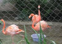 China Black Oxide Finished 1.5mm Animal Enclosure Mesh Stainless Steel  For Zoo Exhibition Decoration for sale