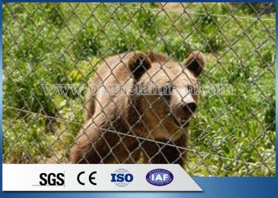 China Hand Woven SS304 SS316 High Strength Zoo Animal Enclosure Mesh Tiger Mesh for sale