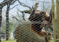 China Customized Stainless Steel Ferrule Animal Enclosure Mesh For Monkey Fence for sale