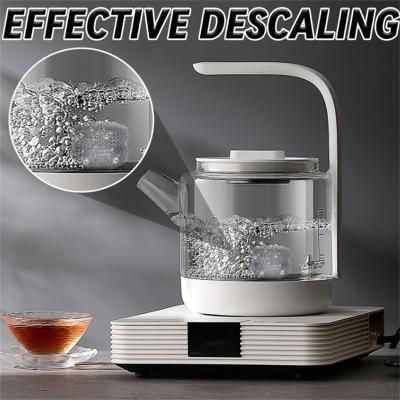China Stainless Steel Wire Ball Kettle Descaler Limescale Remover Fur Collector Cleaner for sale