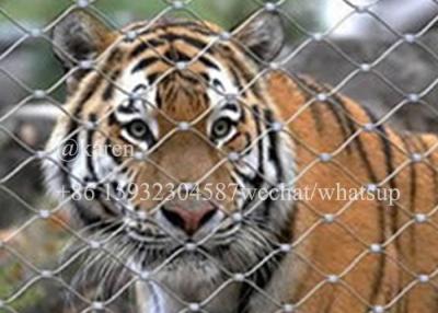 China Animal Enclosure Mesh Stainless Steel Wire Rope Mesh For Zoo Animal Fencing for sale