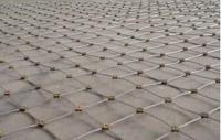 China Stainless Steel Animal Enclosure Netting Inox X-Tend Mesh For Zoo for sale