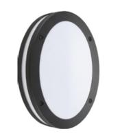 China Ceiling LED Bulkhead Wall Light IP54 20W Wall Mounted LED Wall Lights for sale