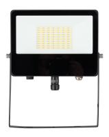 China CCT IP65 50W LED Flood Light Waterproof Outdoor With PIR Motion Sensor for sale