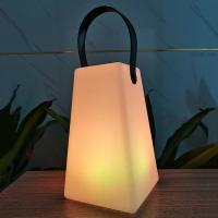 China LED Plastic Color Changing Waterproof Garden Decorative Lamp With Remote Controller for sale