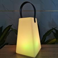 China LED Plastic Color Changing Waterproof Garden Decorative Lamp With Remote Controller for sale