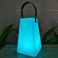 China LED Plastic Color Changing Waterproof Garden Decorative Lamp With Remote Controller for sale