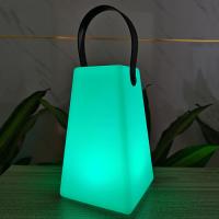 China LED Plastic Color Changing Waterproof Garden Decorative Lamp With Remote Controller for sale