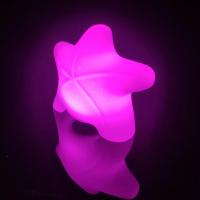 China Rechargeable led garden home starfish decorative lamps for sale