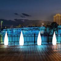 China waterproof Outdoor garden party decoration plastic led floor lamp for sale