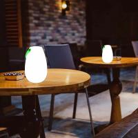 China 2700K CCT Plastic LED Portable Lamp Rechargeable For Restaurant for sale