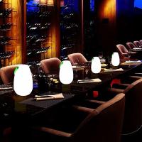China 2700K CCT Plastic LED Portable Lamp Rechargeable For Restaurant for sale
