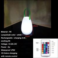 China 2700K CCT Plastic LED Portable Lamp Rechargeable For Restaurant for sale