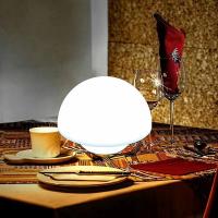 China Mushroom Design Glow Table Lamp Rechargeable 4100K Neutral White for sale