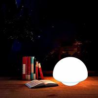China Mushroom Design Glow Table Lamp Rechargeable 4100K Neutral White for sale