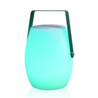 China Customized Portable LED Lamp 4100K Colorful Rechargeable For Camping for sale