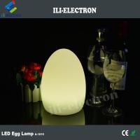 China Festival garden Decor led Egg Shape night light for sale
