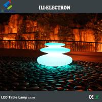 China Creative Rechargeable Battery LED Color Changing party Lamp decor for sale