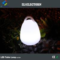 China waterproof plastic led accent lights Outdoor garden lamps with 16 colors for sale