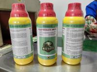 China Glyphosate 95% Tech 480 Gr/Lt SL, 360 Gr/Lt SL 75.7% WG for sale