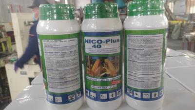 China Nicosulfuron 40 OD 75% WDG for sale